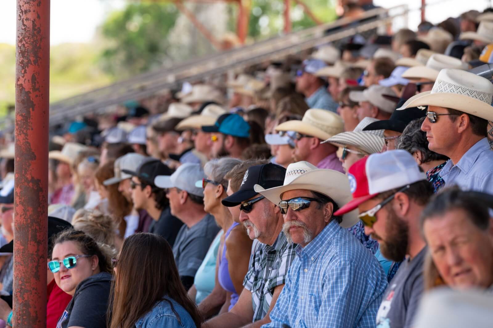 Buffalo & Kaycee Wyoming Rodeos | Johnson County Rodeo Events & Guide