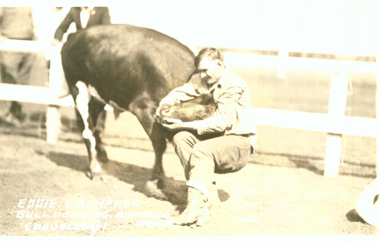 Buffalo & Kaycee Wyoming Rodeos | Johnson County Rodeo Events & Guide