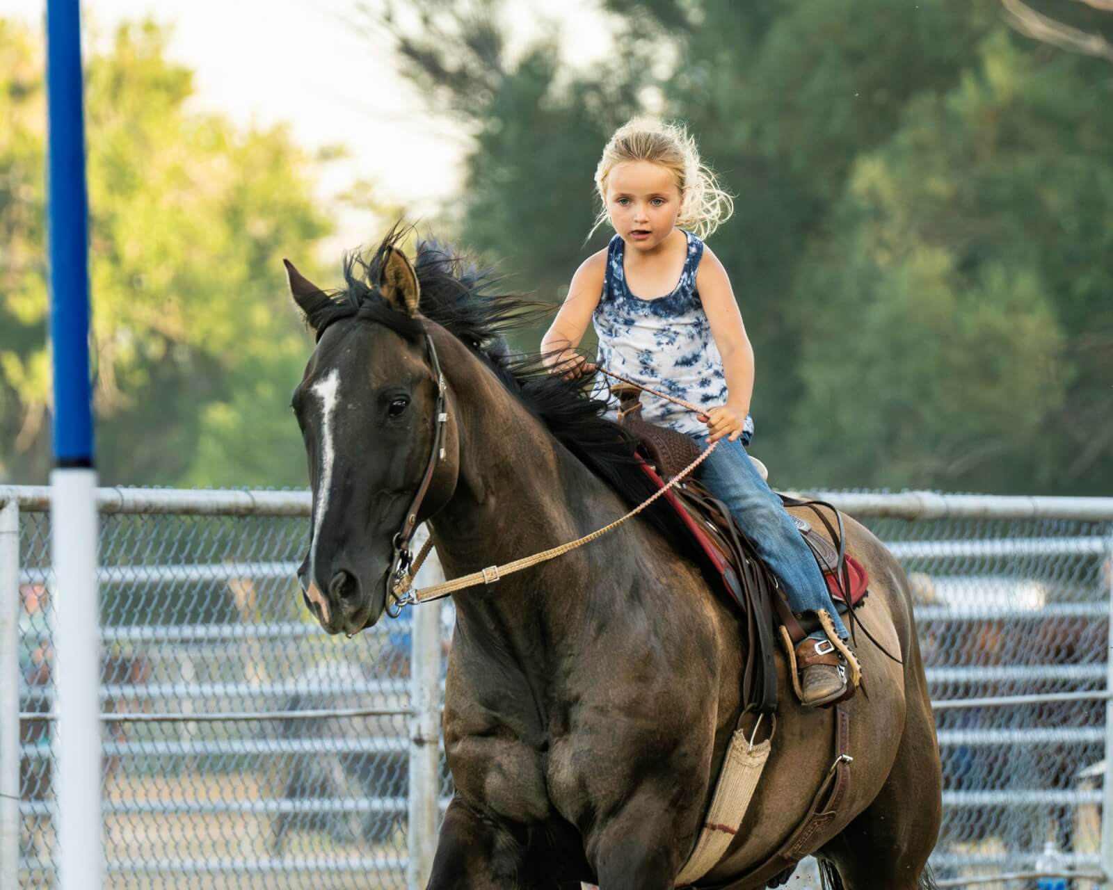 Buffalo & Kaycee Wyoming Rodeos | Johnson County Rodeo Events & Guide