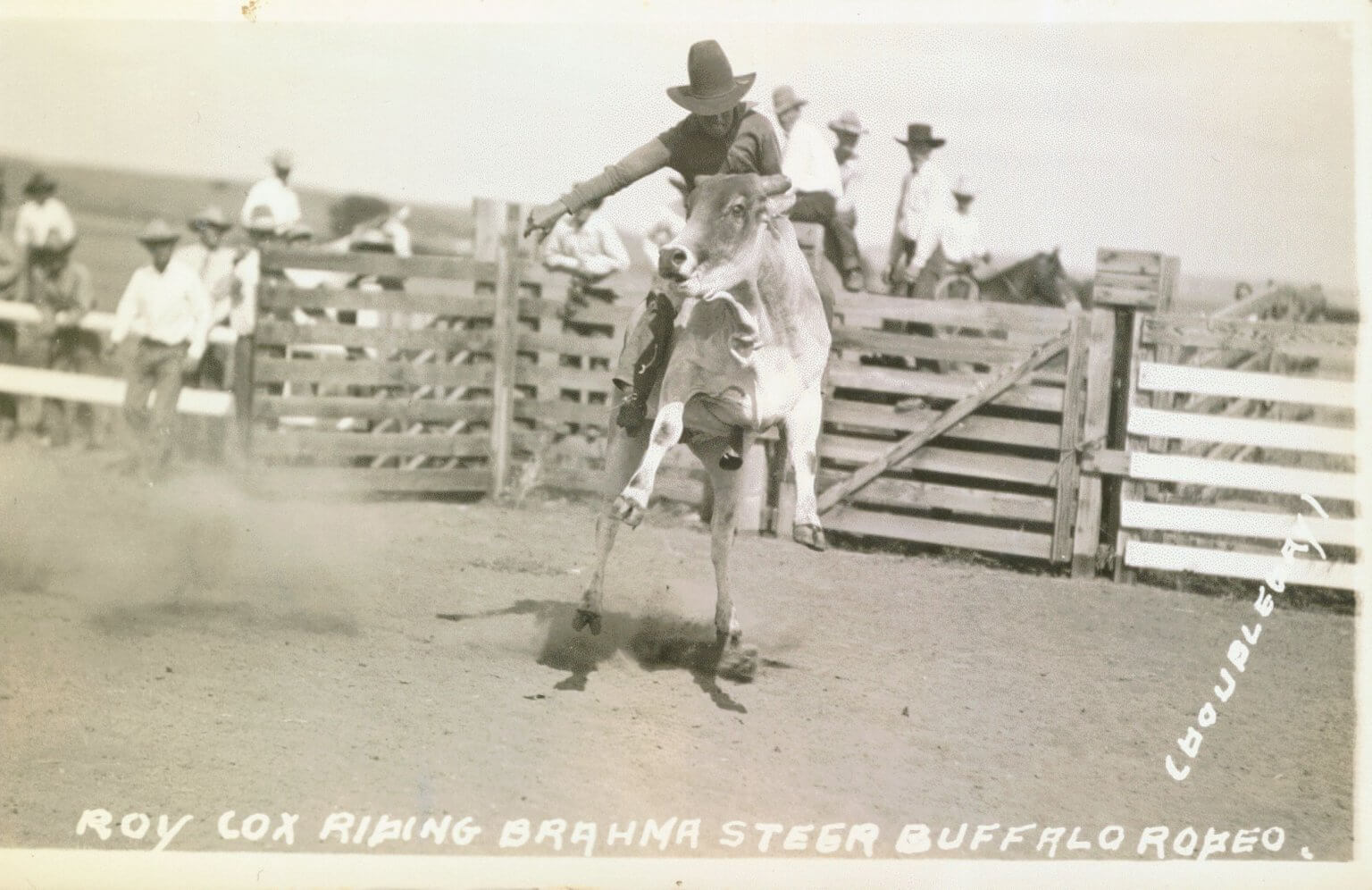 Buffalo & Kaycee Wyoming Rodeos | Johnson County Rodeo Events & Guide