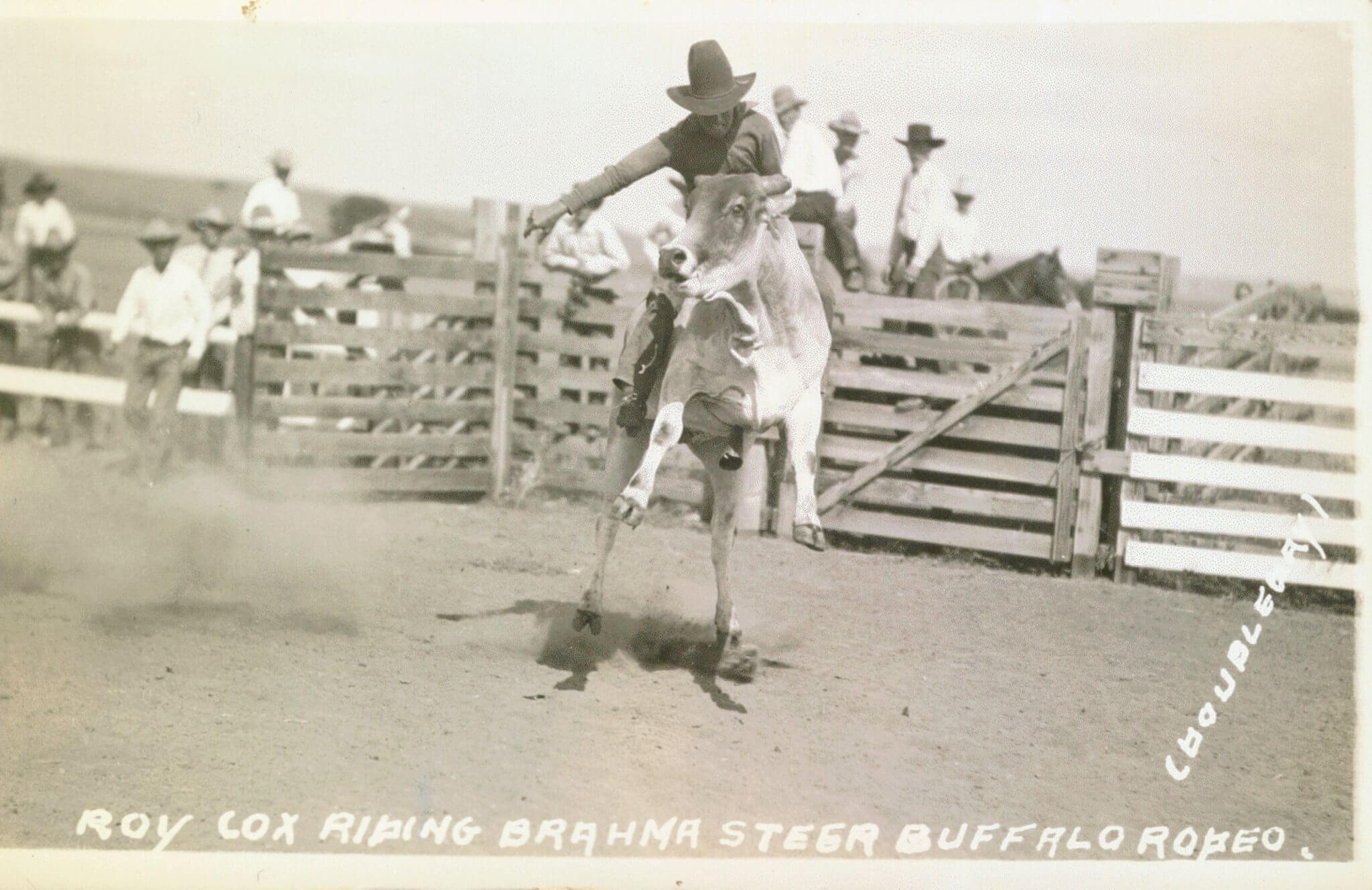 Buffalo & Kaycee Wyoming Rodeos | Johnson County Rodeo Events & Guide