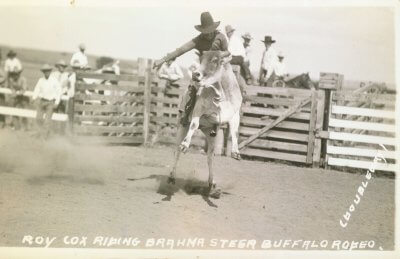 Buffalo & Kaycee Wyoming Rodeos | Johnson County Rodeo Events & Guide