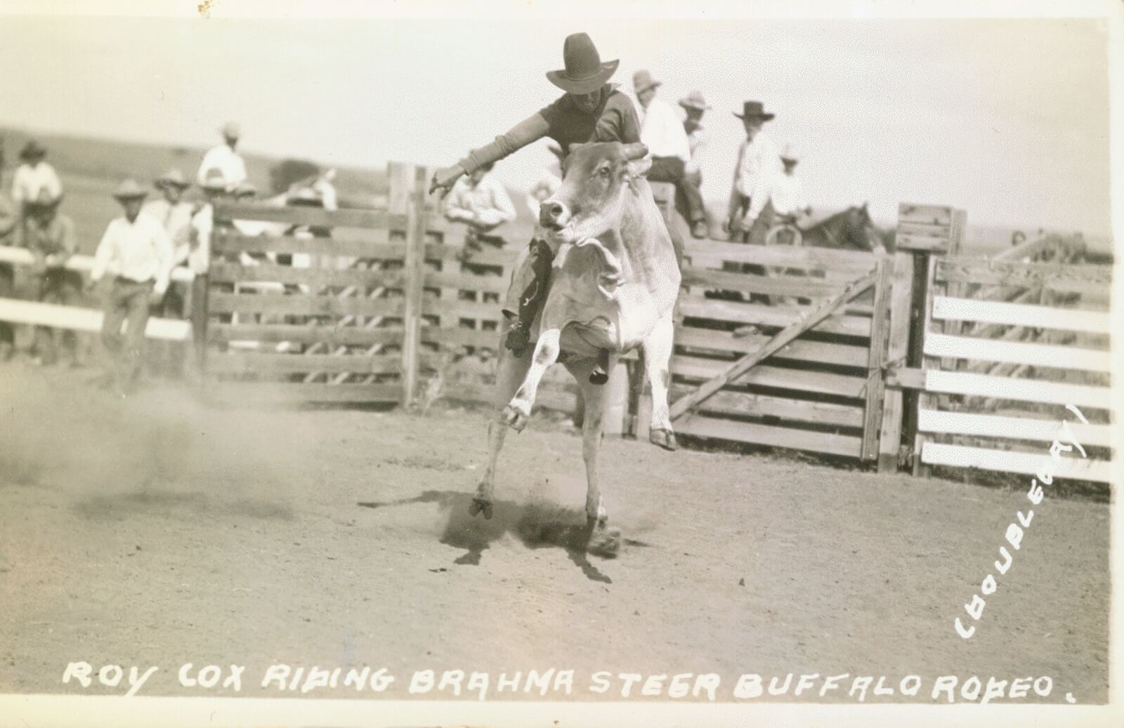 Buffalo & Kaycee Wyoming Rodeos | Johnson County Rodeo Events & Guide