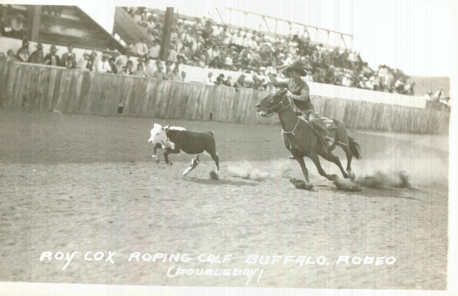 Buffalo & Kaycee Wyoming Rodeos | Johnson County Rodeo Events & Guide