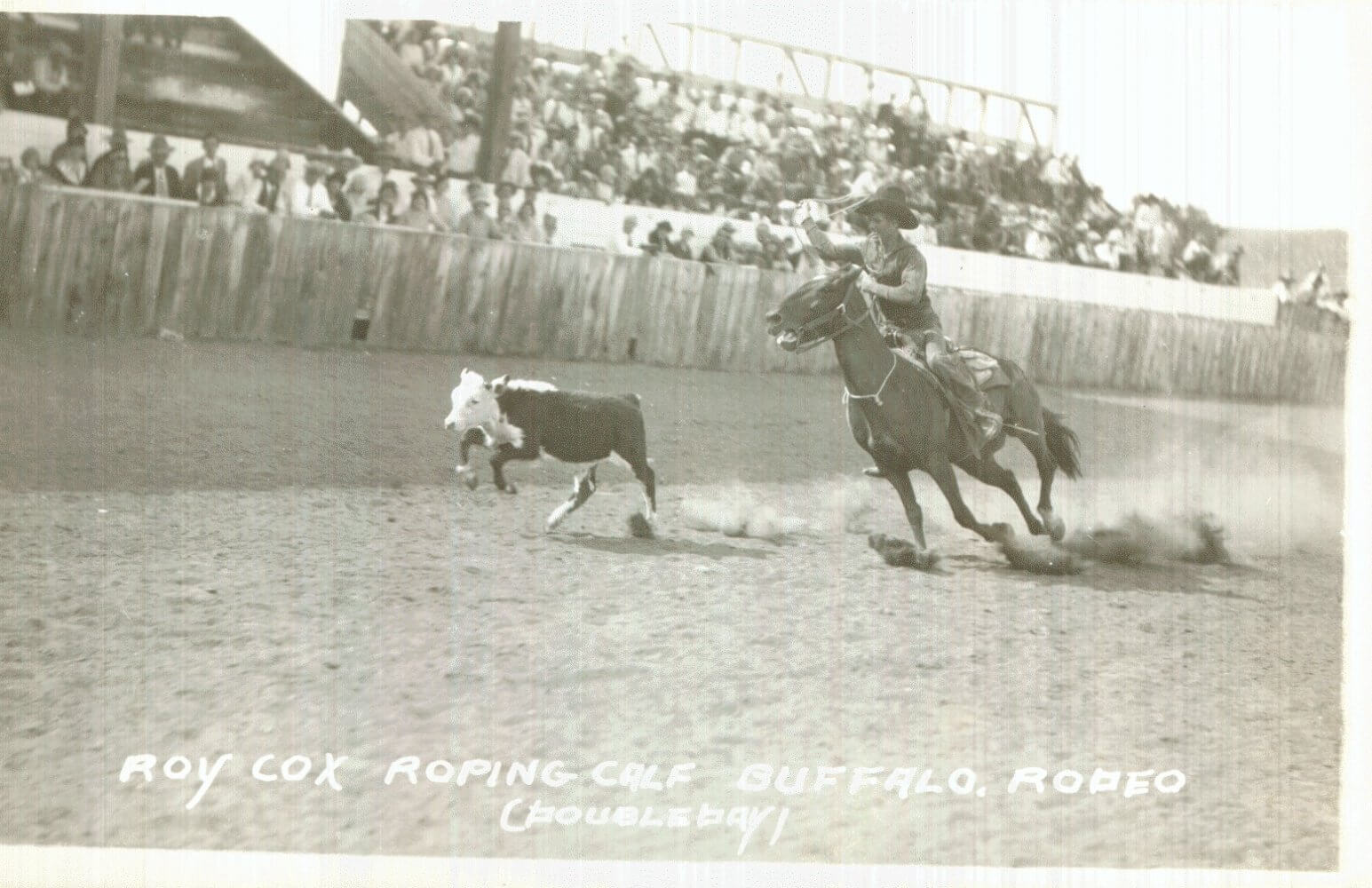 Buffalo & Kaycee Wyoming Rodeos | Johnson County Rodeo Events & Guide
